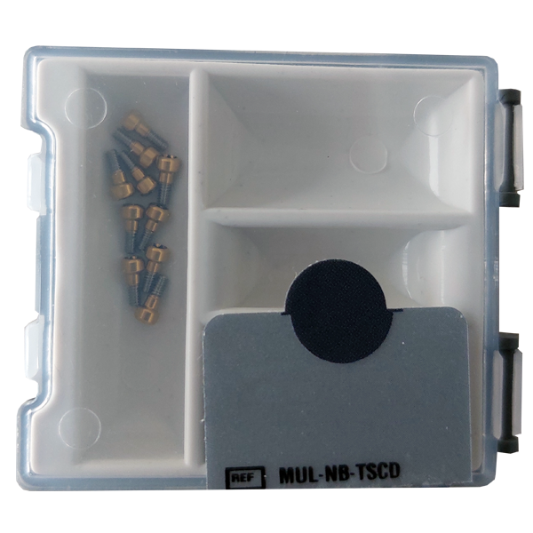 Angled "Direct to MUA" Prosthetic Screw M1.4 (10 Pcs)- ritterimplants