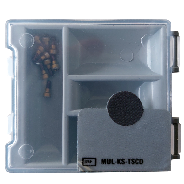 Angled "Direct to MUA" Prosthetic Screw M1.6 (10 Pcs)- ritterimplants