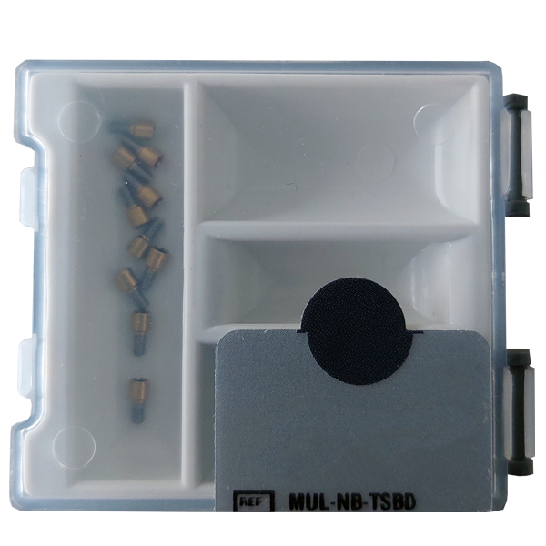 Angled "Non Direct" to MUA Prosthetic Screw M1.6 10 Pcs)- ritterimplants
