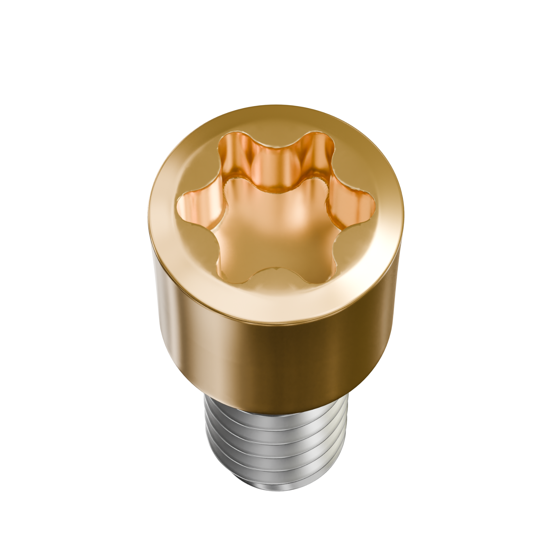 Angled "Non Direct" to MUA Prosthetic Screw M1.6 10 Pcs)- ritterimplants